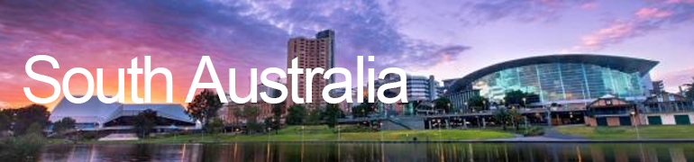 Clarion Head Unit Patch Lead For SWCs